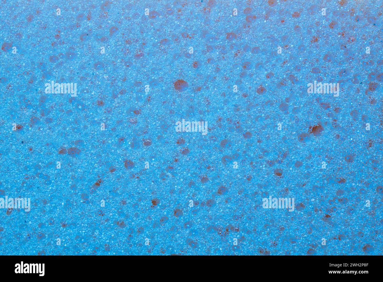 Light porous material hi-res stock photography and images - Alamy