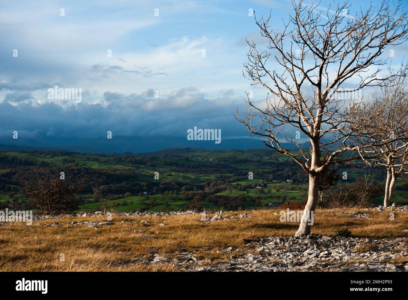 The view from Scout scar over the Lythe Valley, Cumbria, England ...