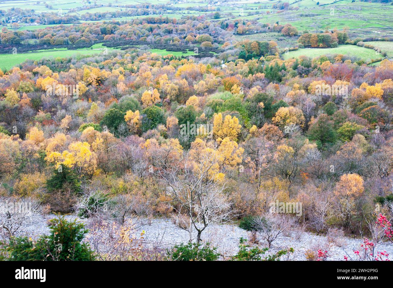 The view from Scout scar over the Lythe Valley, Cumbria, England ...