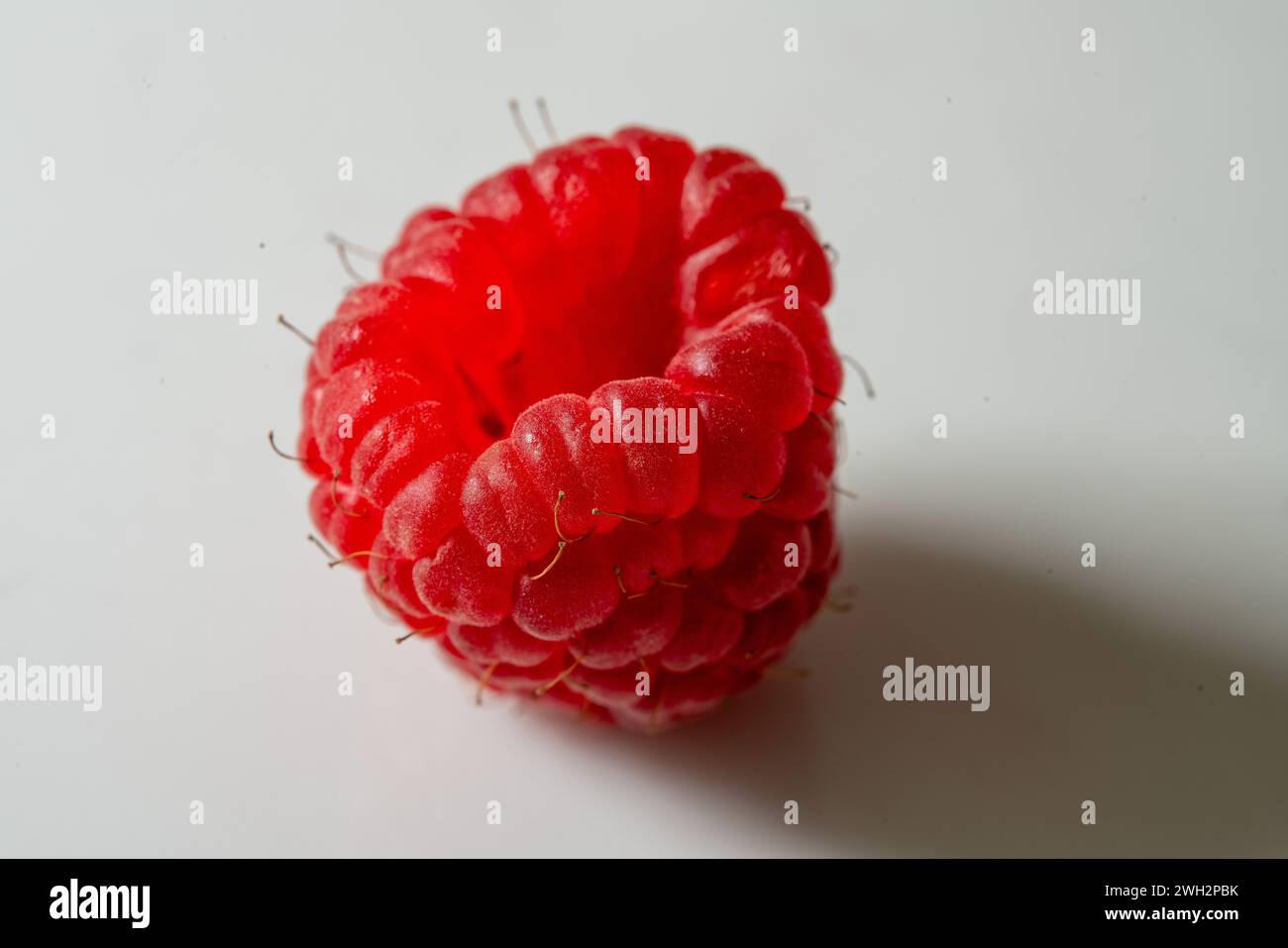 Close up of single raspberry on a white grey background with shadow ...