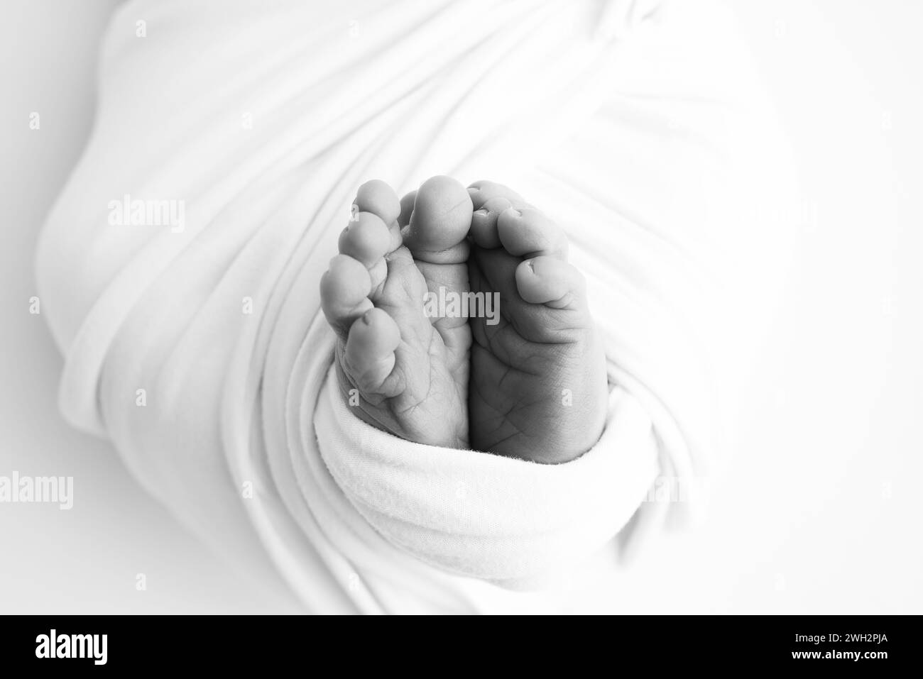 The tiny foot of a newborn baby. Soft feet of a new born in a blanket ...
