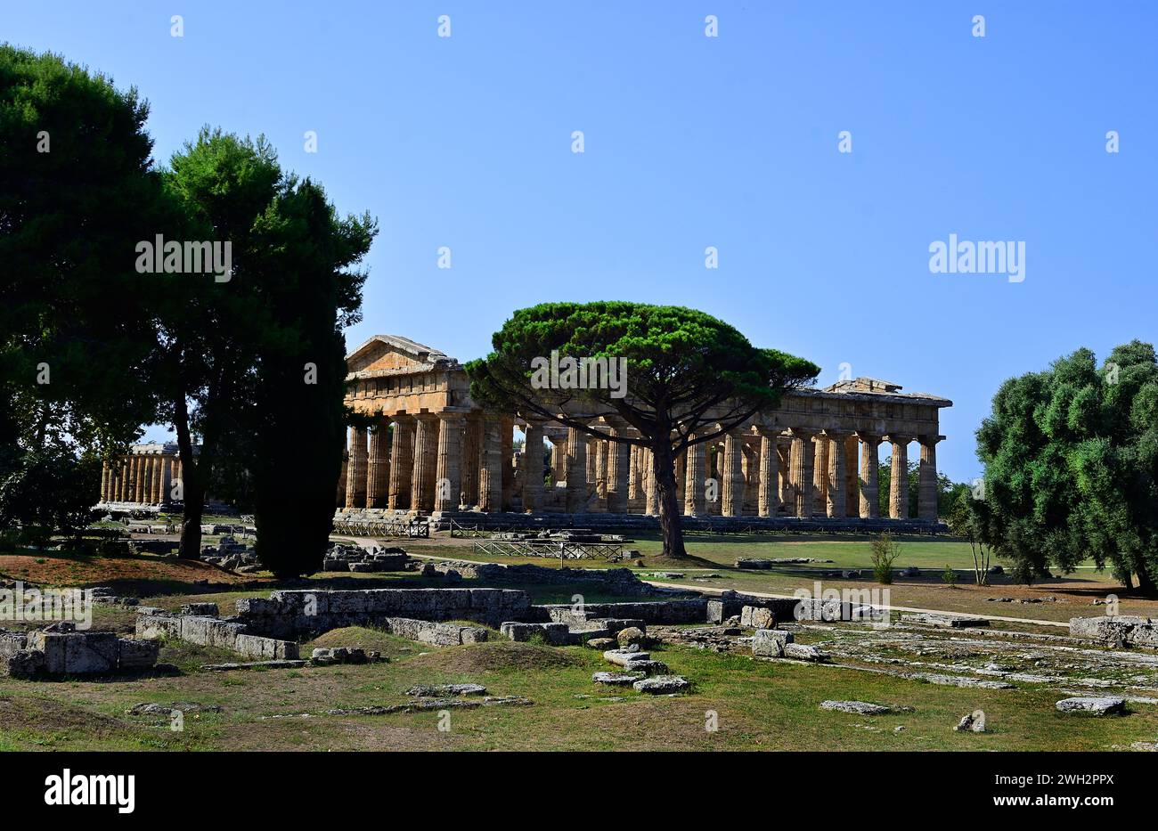 Greek doric style temple of Neptune Paestum is an ancient Greek city on the coast of the ...