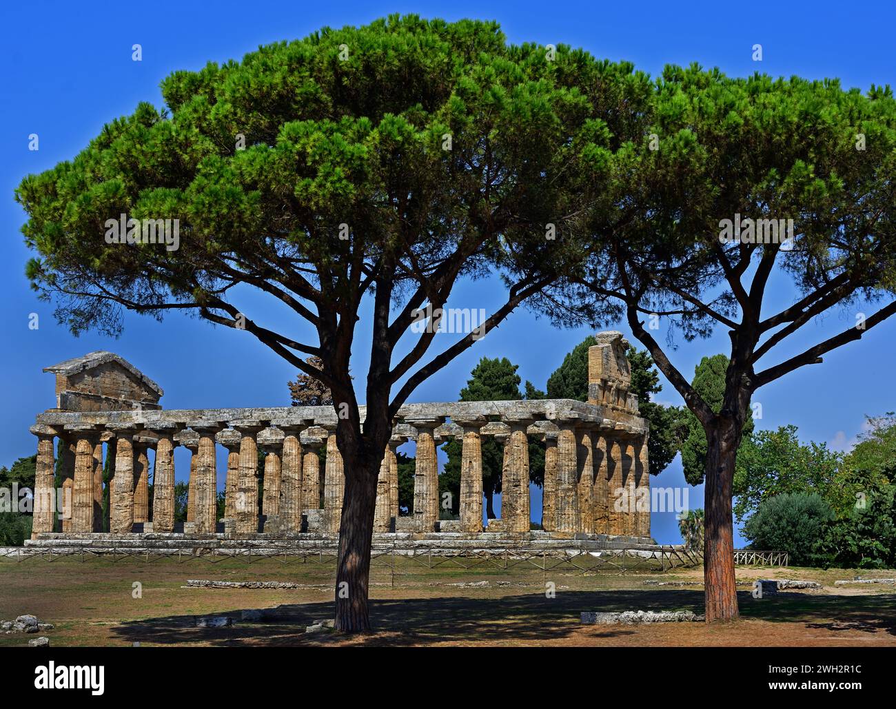 Temple of Athena (500 BC), Paestum is an ancient Greek city on the ...