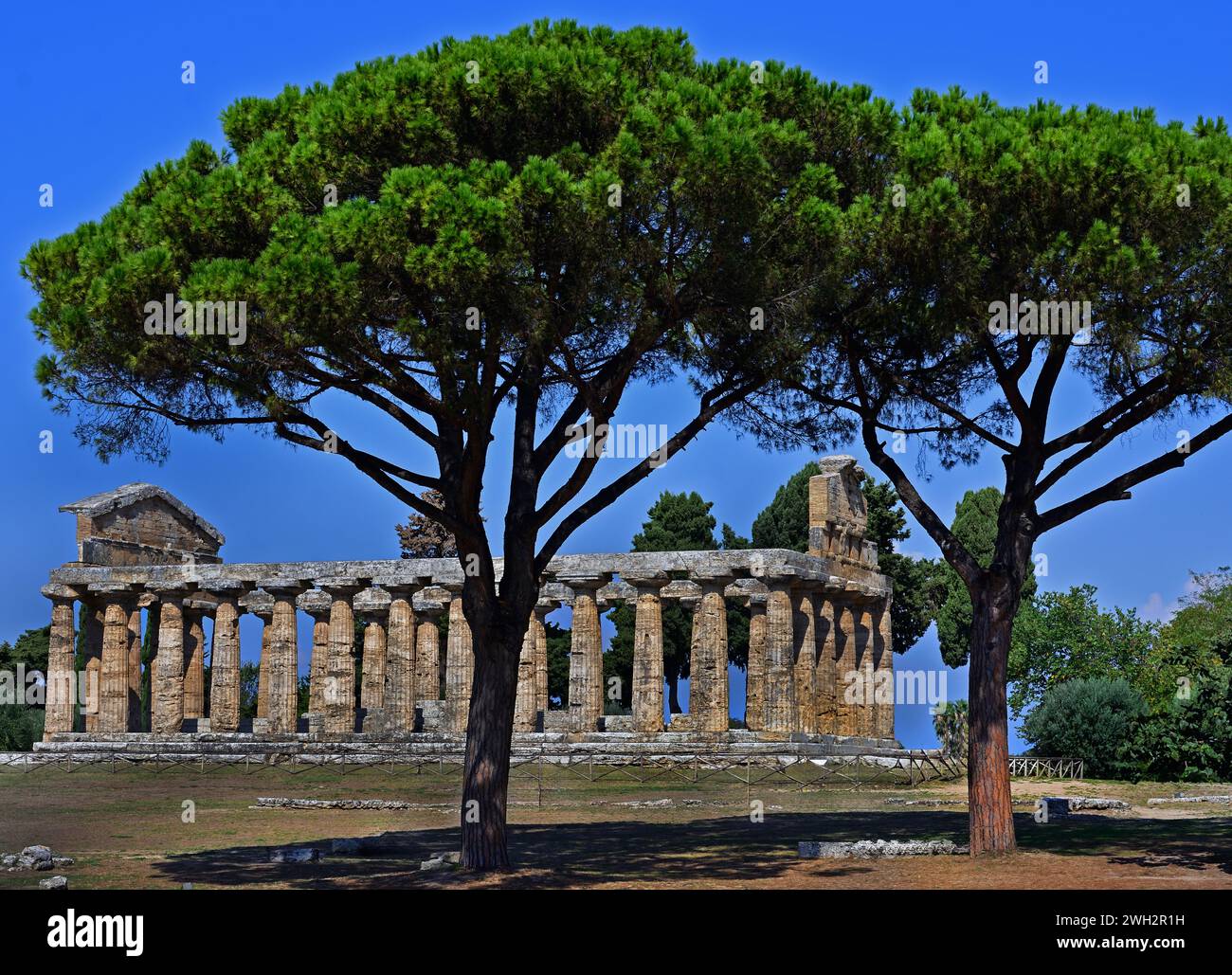 Grecian Temples
