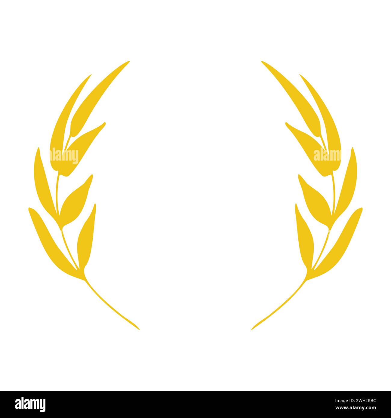 Long pointed leaves Cut Out Stock Images & Pictures - Alamy