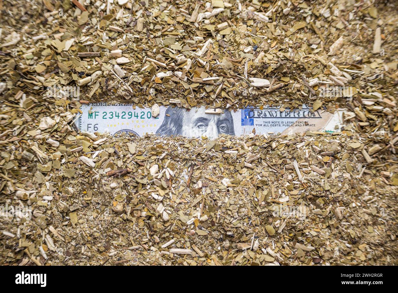 Concept of the cost of yerba mate and export problems. Made with a ...