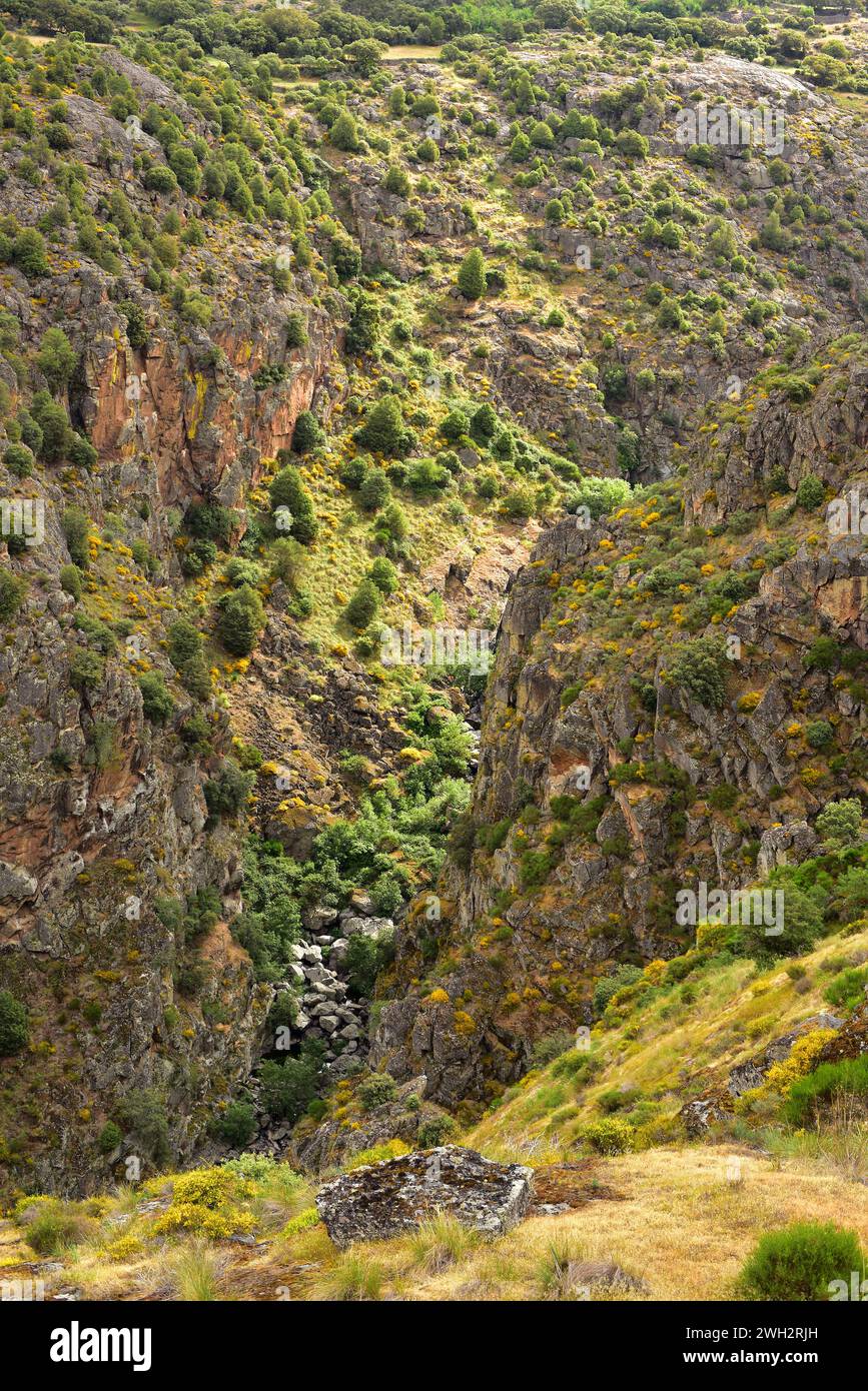 Trigales hi-res stock photography and images - Alamy