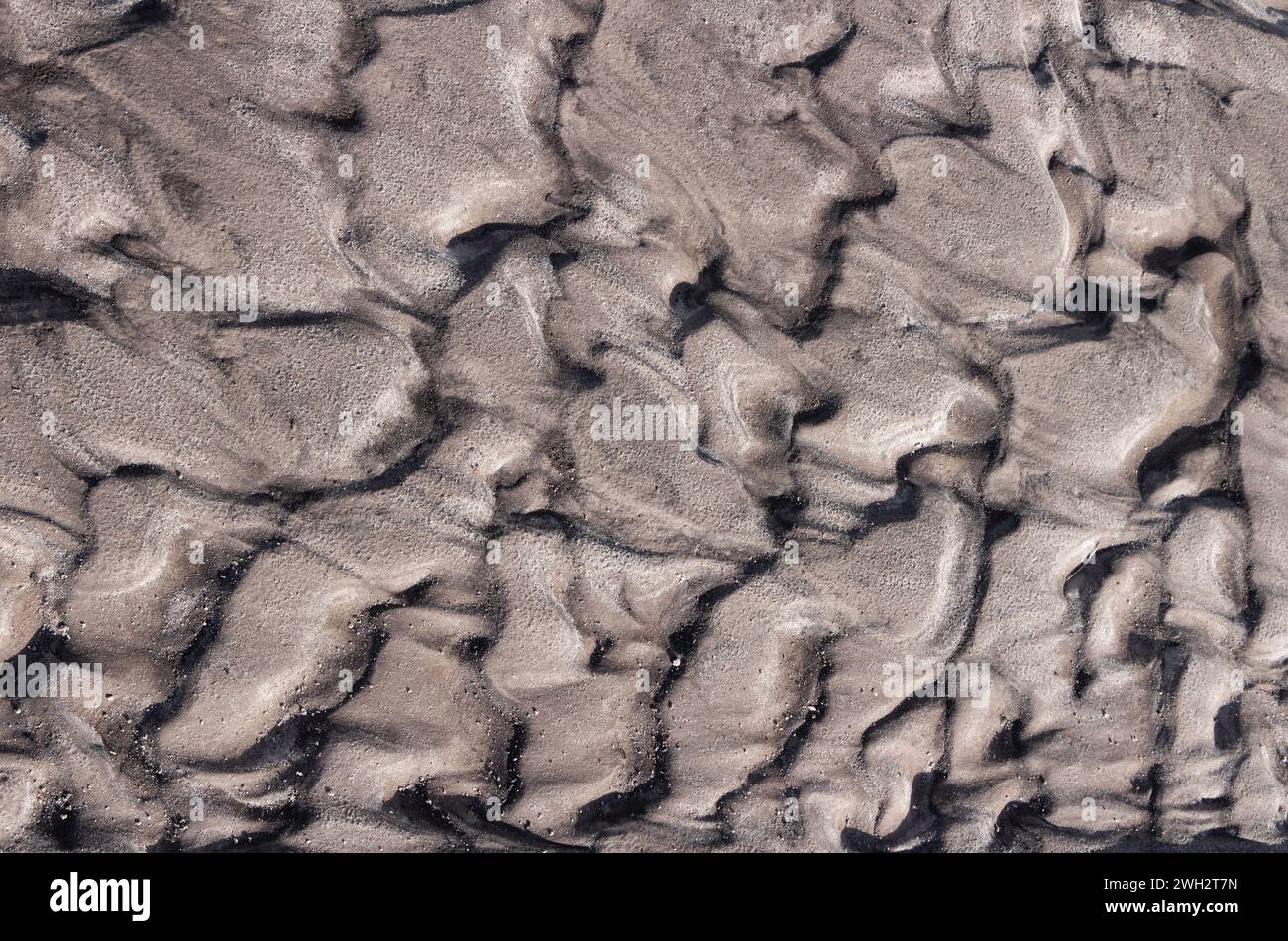 Sand texture. Curved sandy surface formed by water. Sand after rain ...