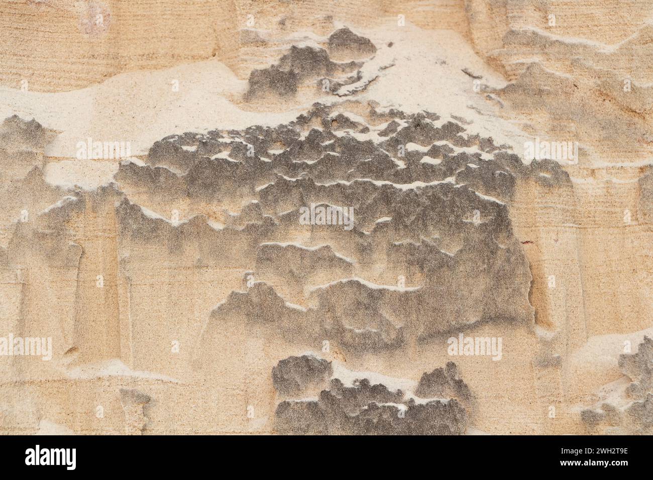 The texture of a sandy piece of land. Background from the structure of ...