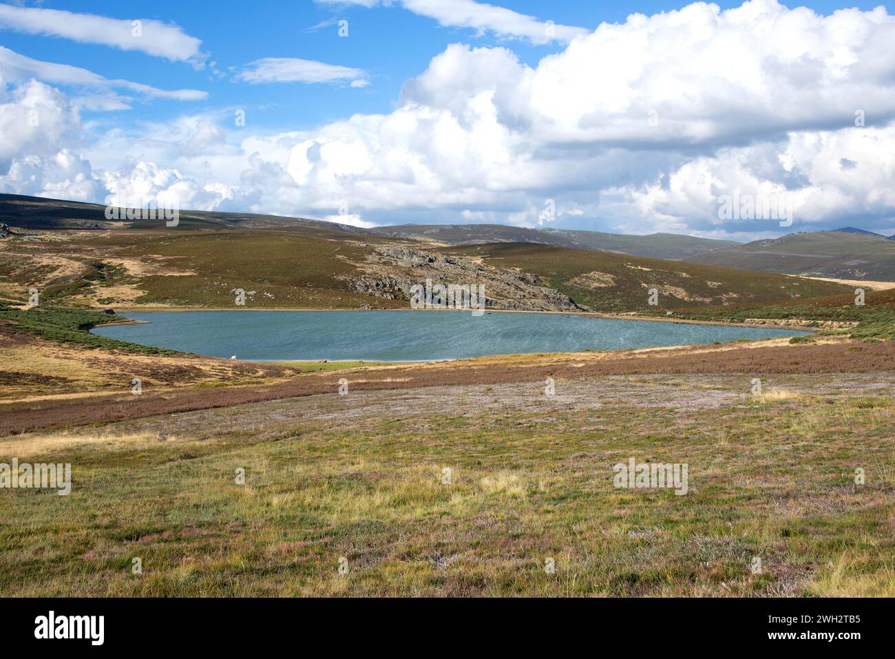 Los peces lagoon hi-res stock photography and images - Alamy