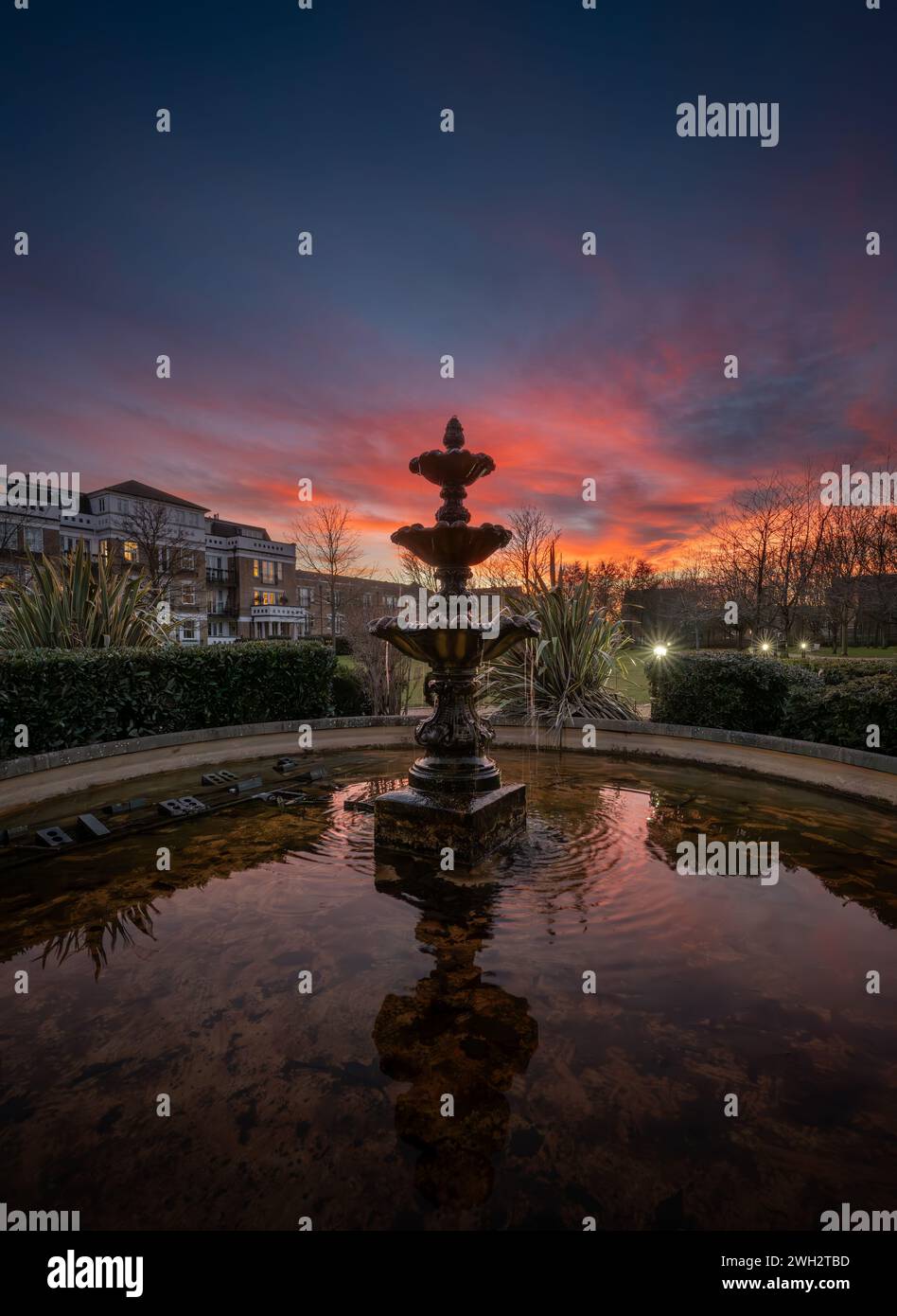 Fountain and pond in a park at sunset with a pink sky. Evening view in ...
