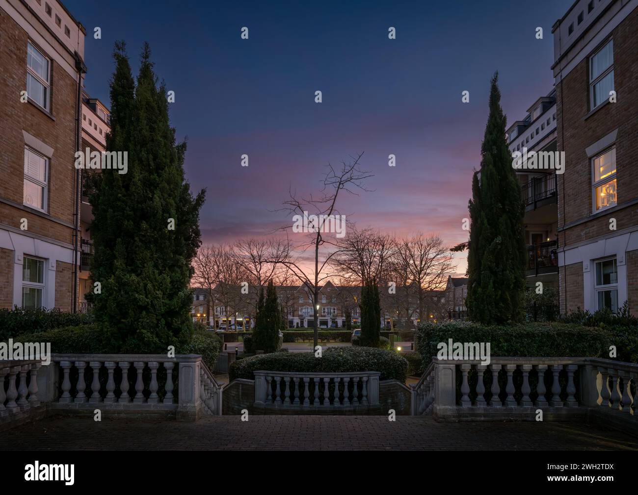 Evening sky trees hi-res stock photography and images - Alamy