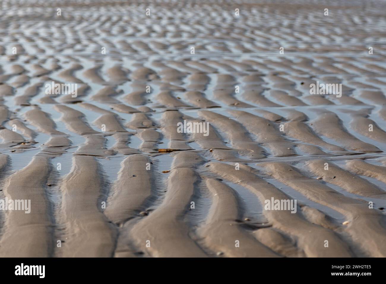 Underwater Beach Sand Texture Seamless 12740