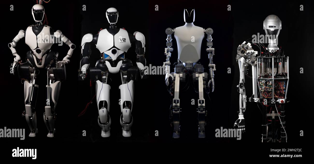 (240207) -- BEIJING, Feb. 7, 2024 (Xinhua) -- This composite photo ...