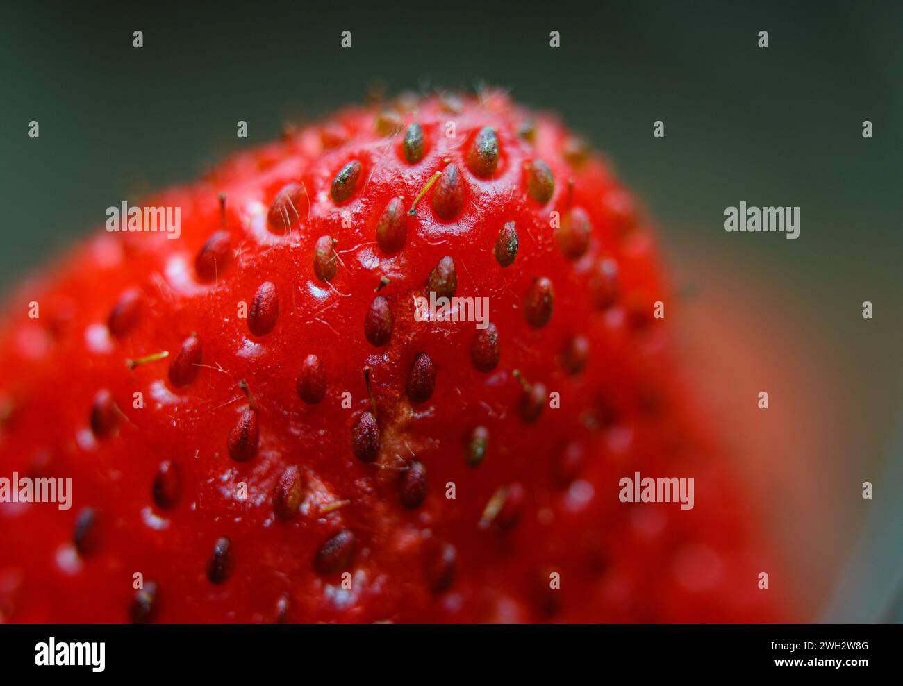 Luscious red strawberry hi-res stock photography and images - Alamy