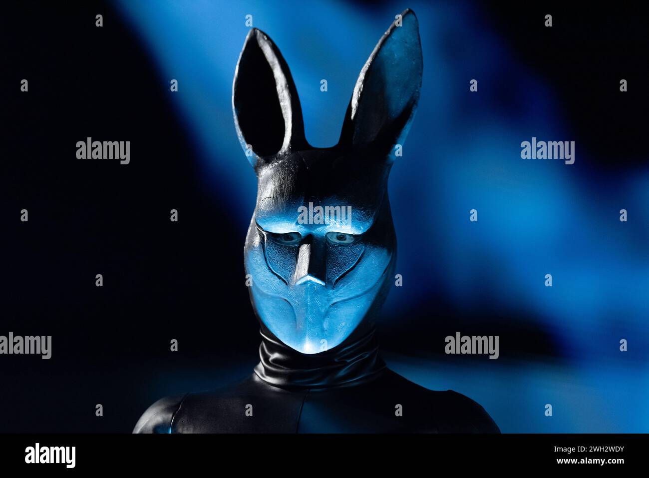 Turin, Turin, Italy. 7th Feb, 2024. The mask from the movie ''Bunny-Man ...