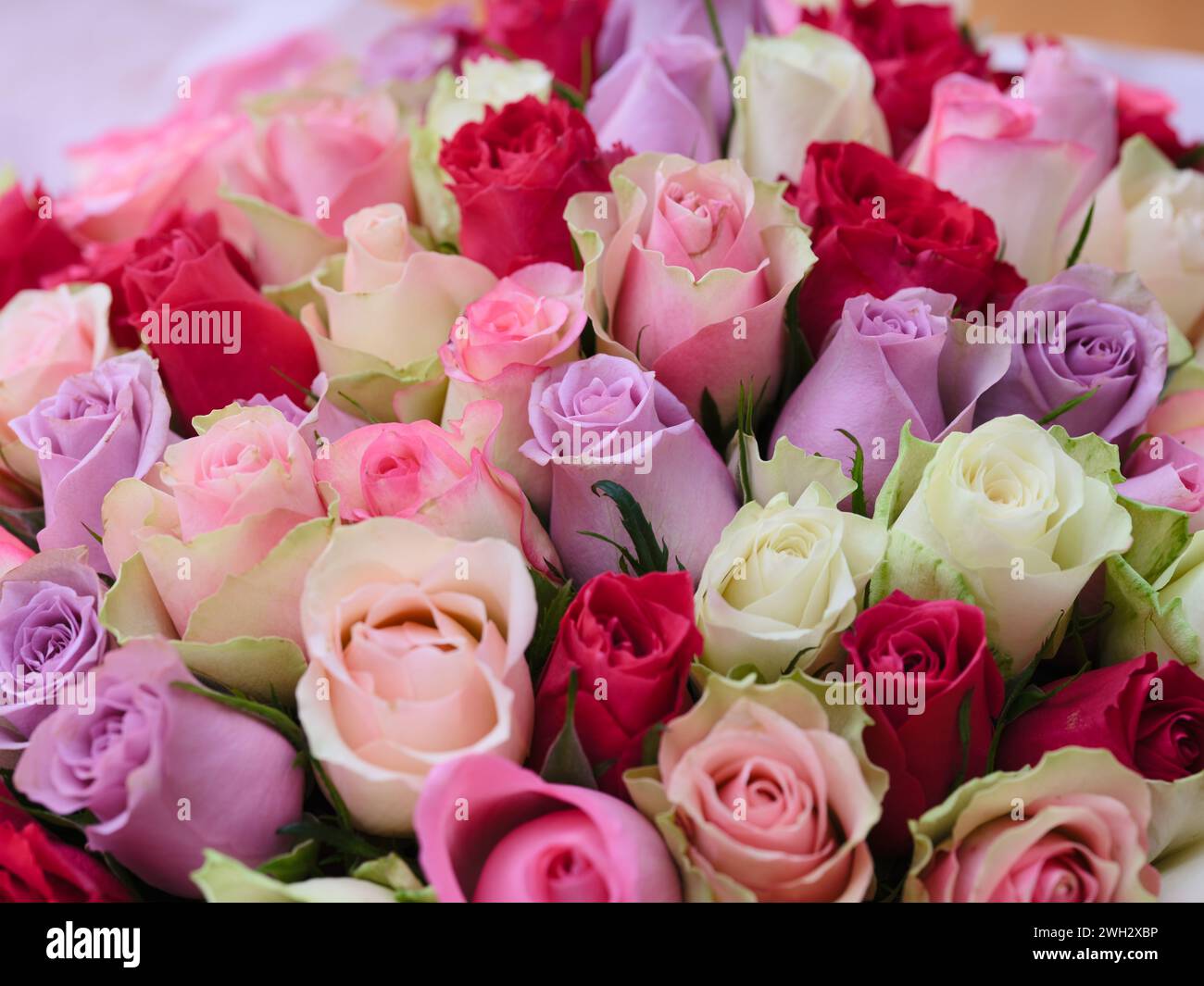 A large beautiful bouquet of coloured roses Stock Photo - Alamy