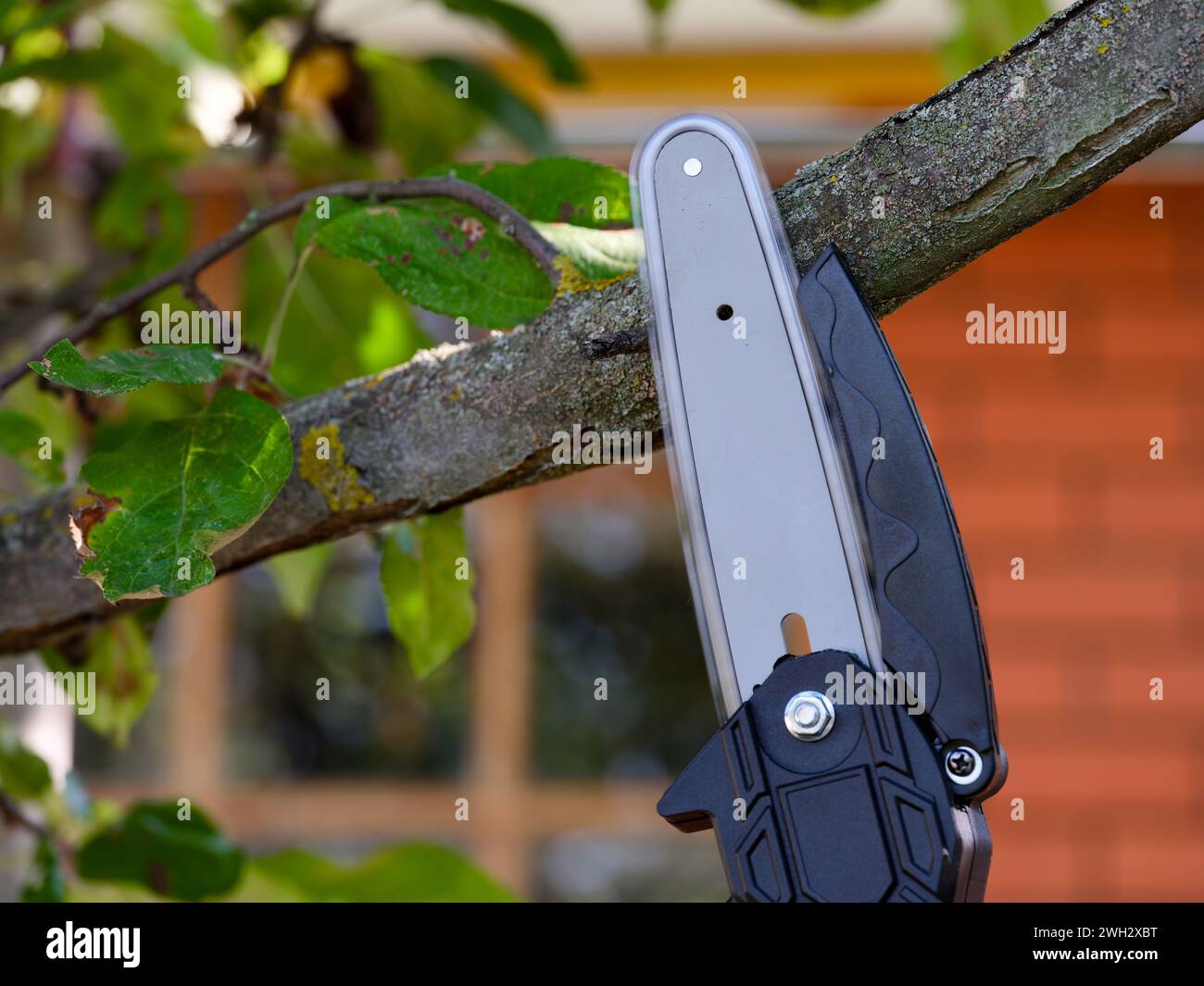 A portable electric chain saw cutting a branch of a tree Stock Photo - Alamy