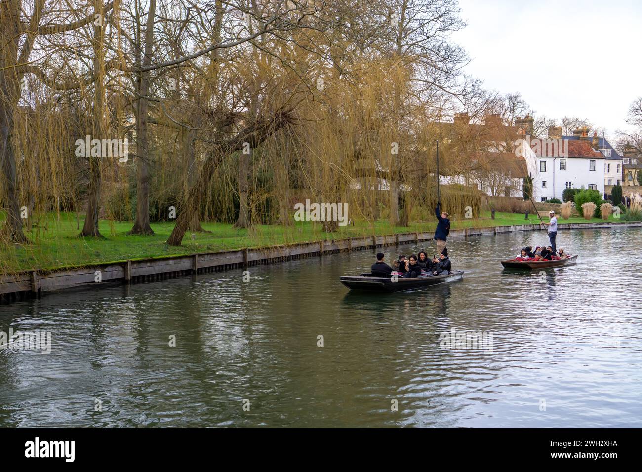 Tourists enjoying punting going past weeping willow trees on the River ...