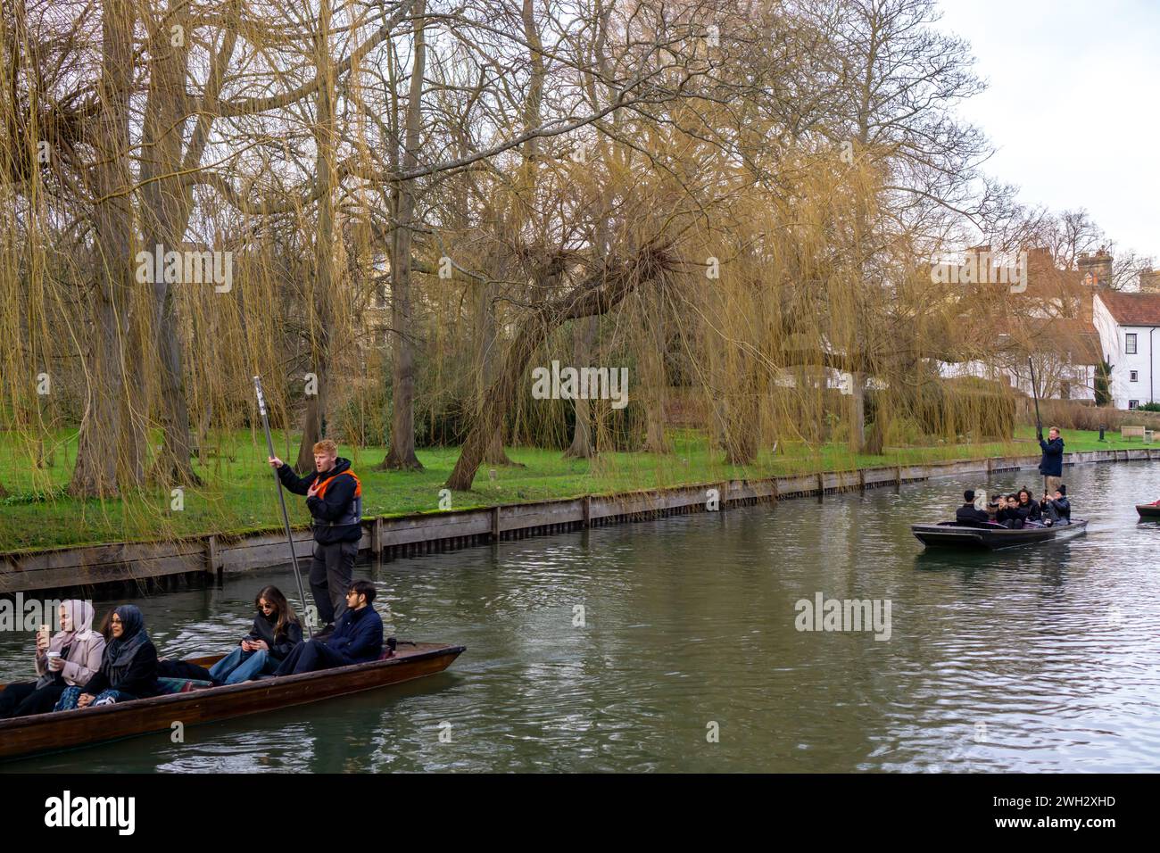 Tourists enjoying punting going past weeping willow trees on the River ...