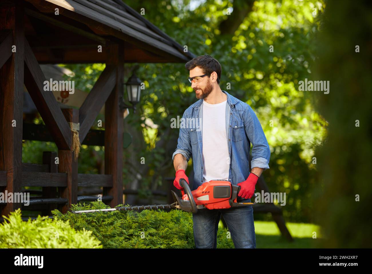 Pruning hedge conifer hi-res stock photography and images - Alamy