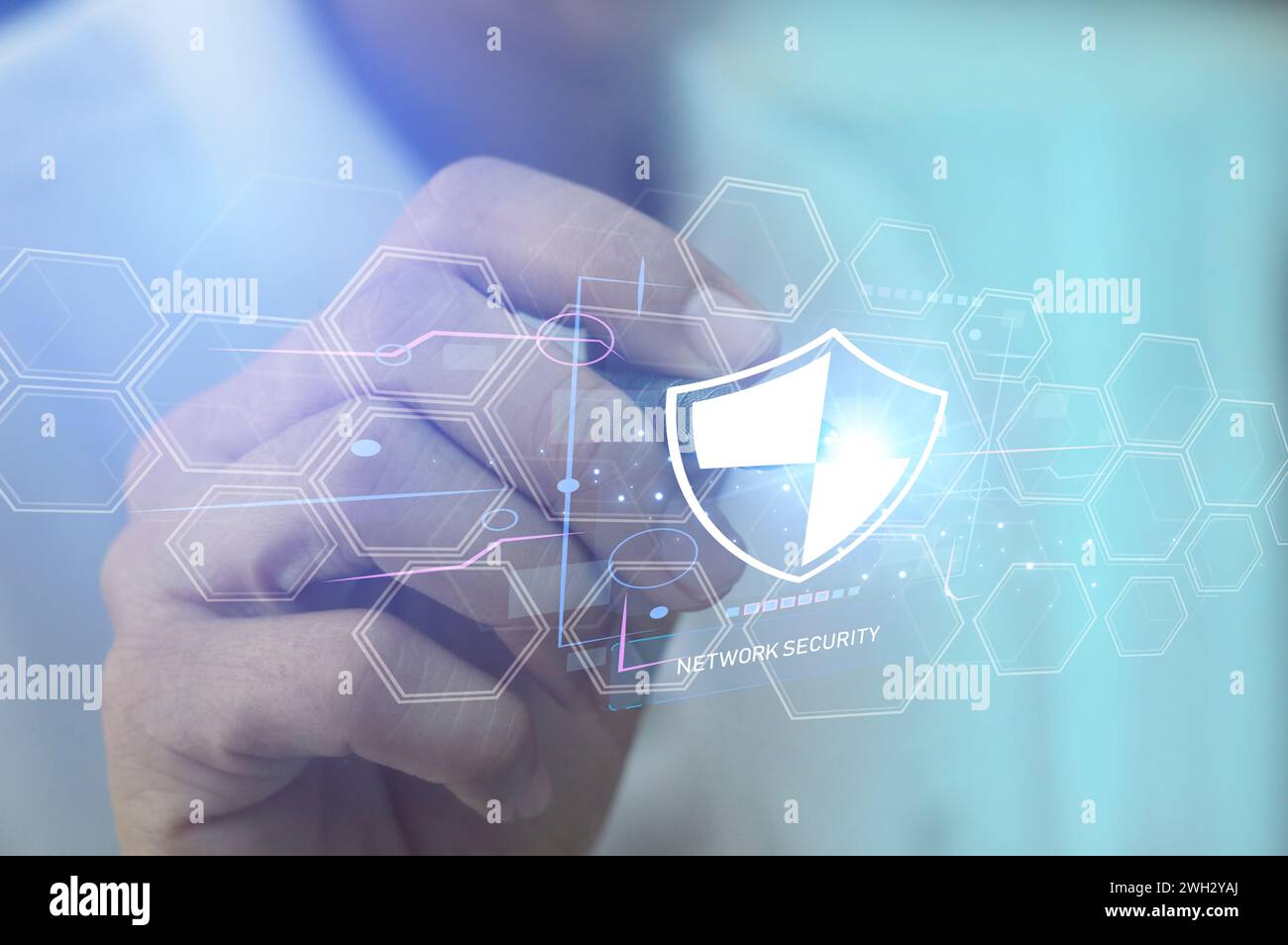 Online login verification concept, password entry, identity ...