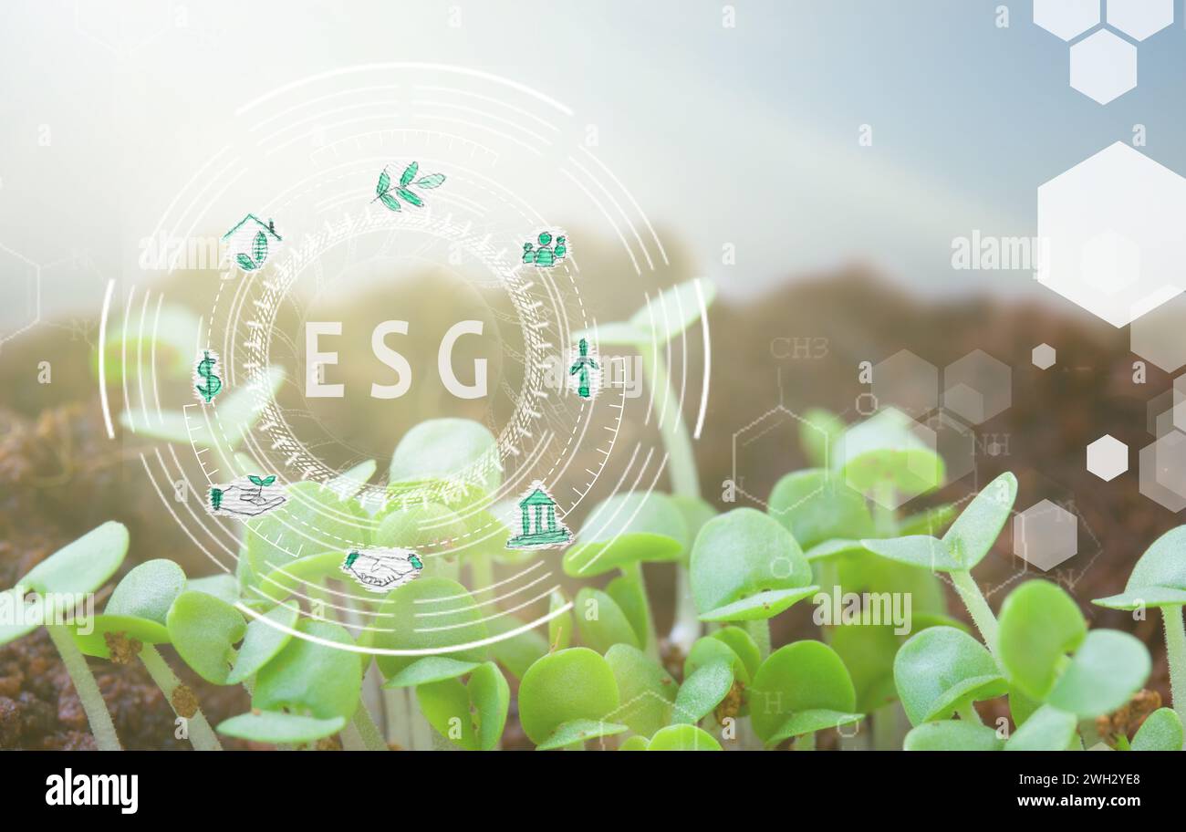 Blockchain governance hi-res stock photography and images - Alamy