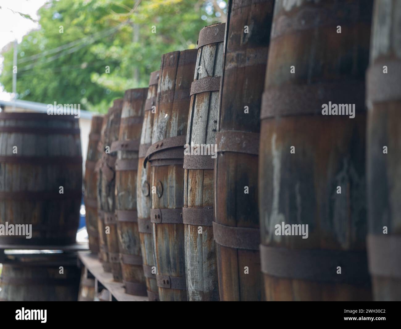Rum barrels in Barbados Stock Photo - Alamy