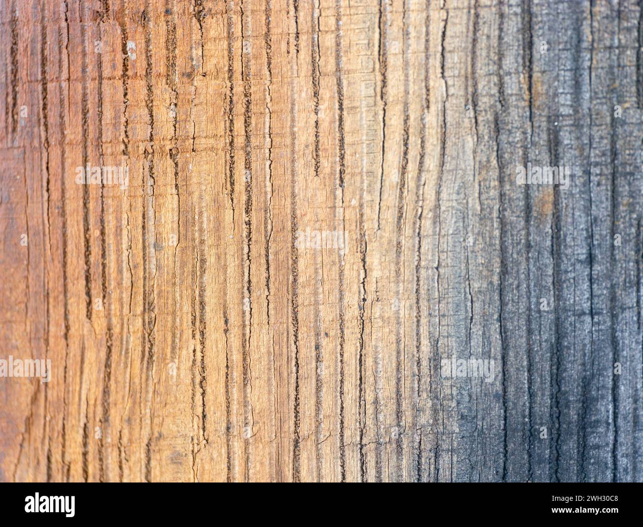 Wood texture background rum barrell Stock Photo - Alamy