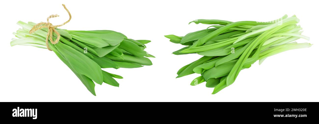 Ramson bunch vegetable isolated on white background with full depth of ...