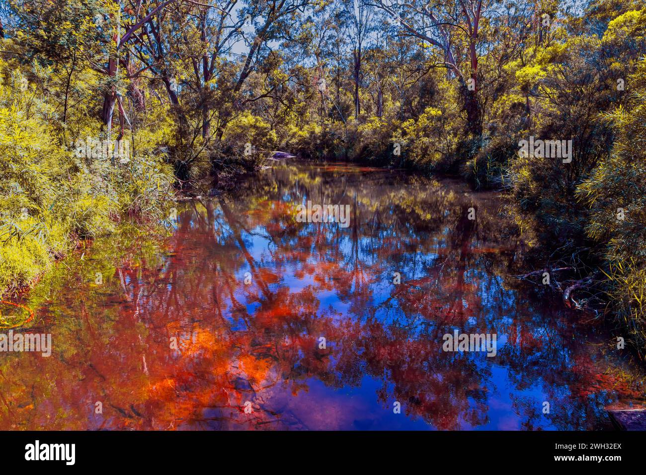 Photograph of Megalong Creek near Old Ford Reserve in Megalong Valley ...