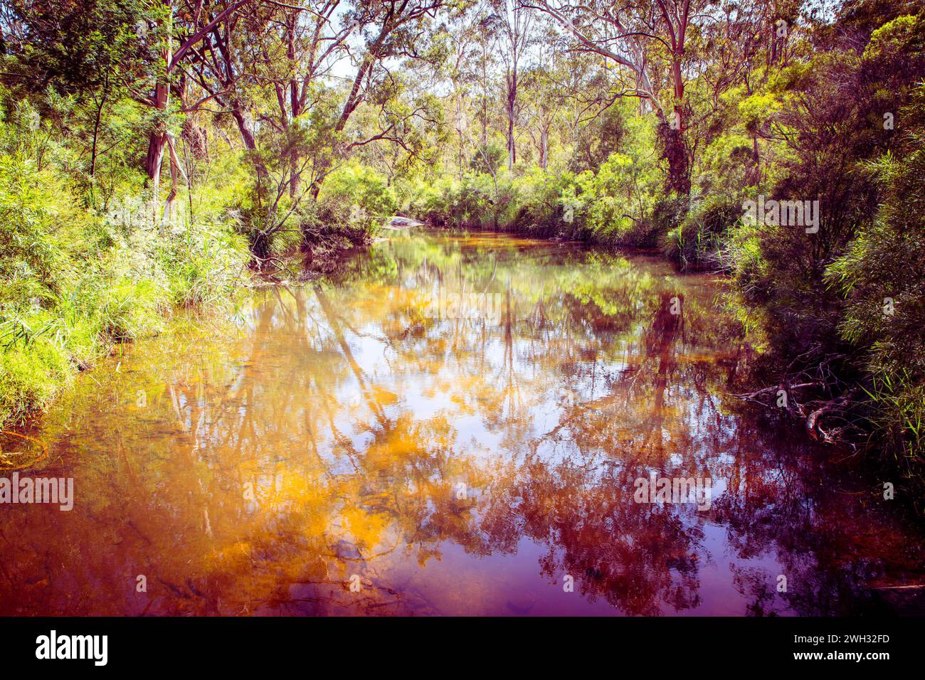 Photograph of Megalong Creek near Old Ford Reserve in Megalong Valley ...