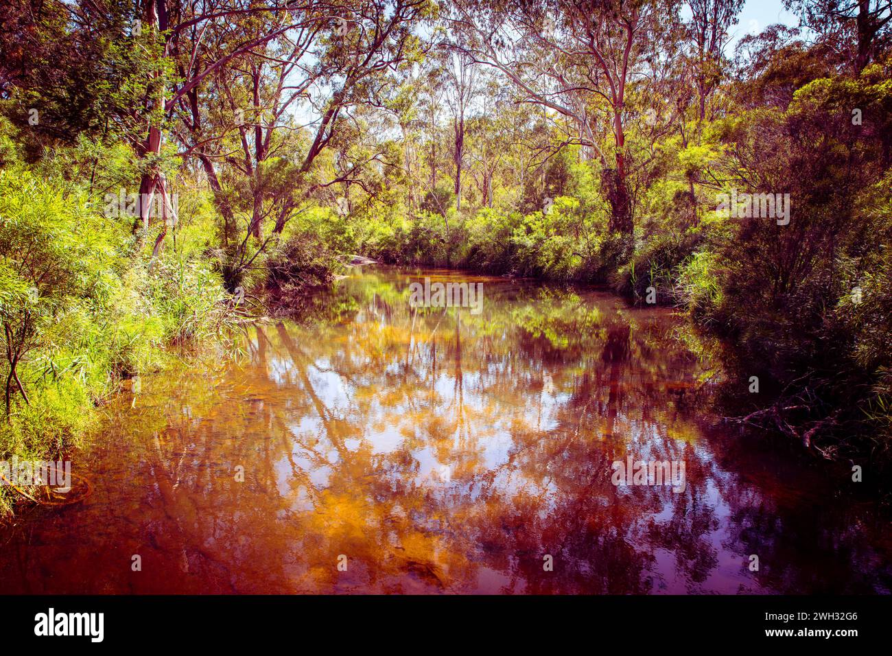 Photograph of Megalong Creek near Old Ford Reserve in Megalong Valley ...
