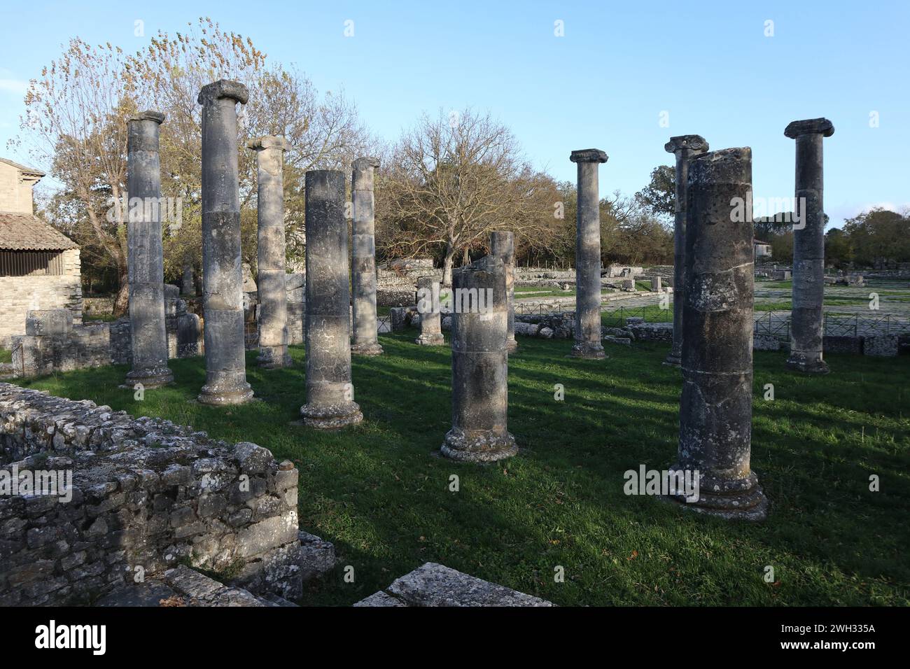 Altilia - Colonne della Basilica nel Parco Archeologico di Sepino Stock ...