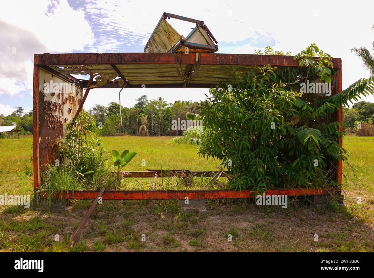 Nature taking back an old container Stock Photo - Alamy