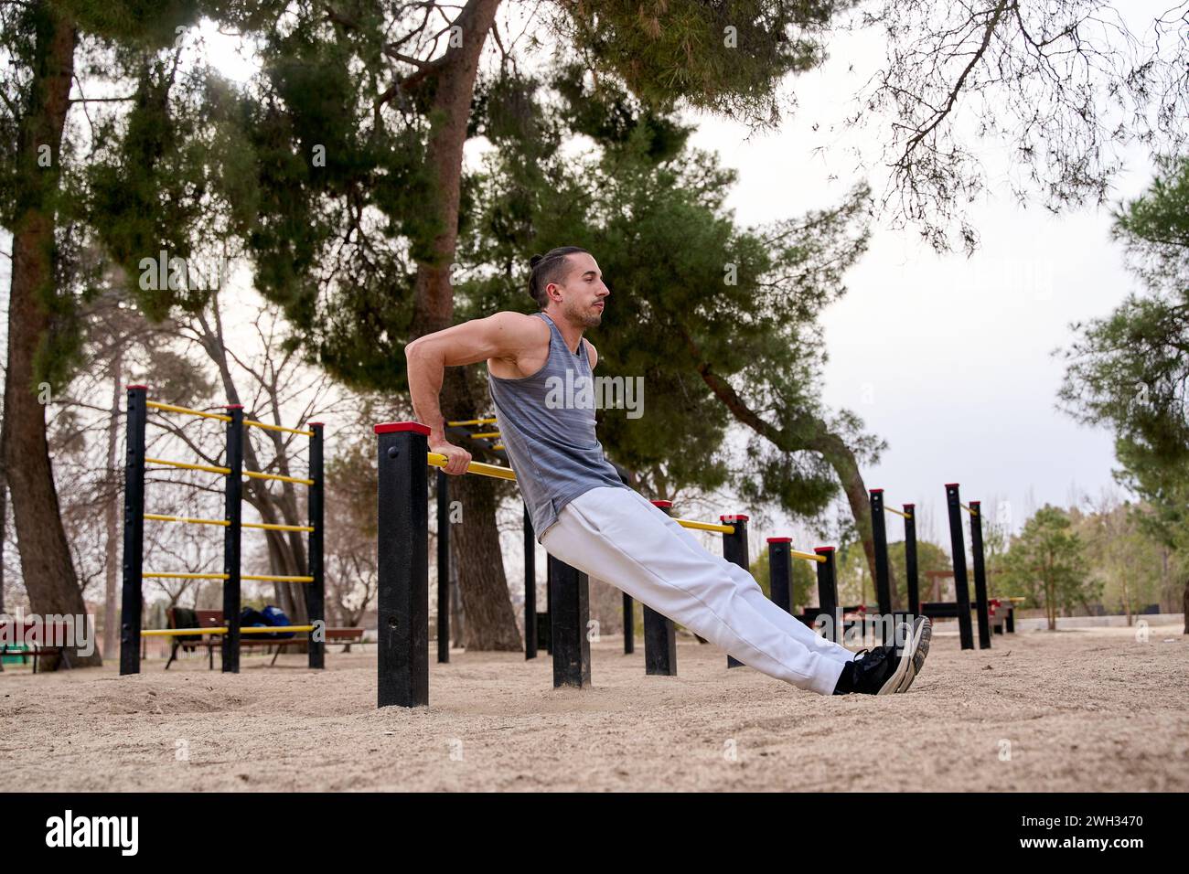 Strong man working out arms muscles doing triceps dips using bars ...