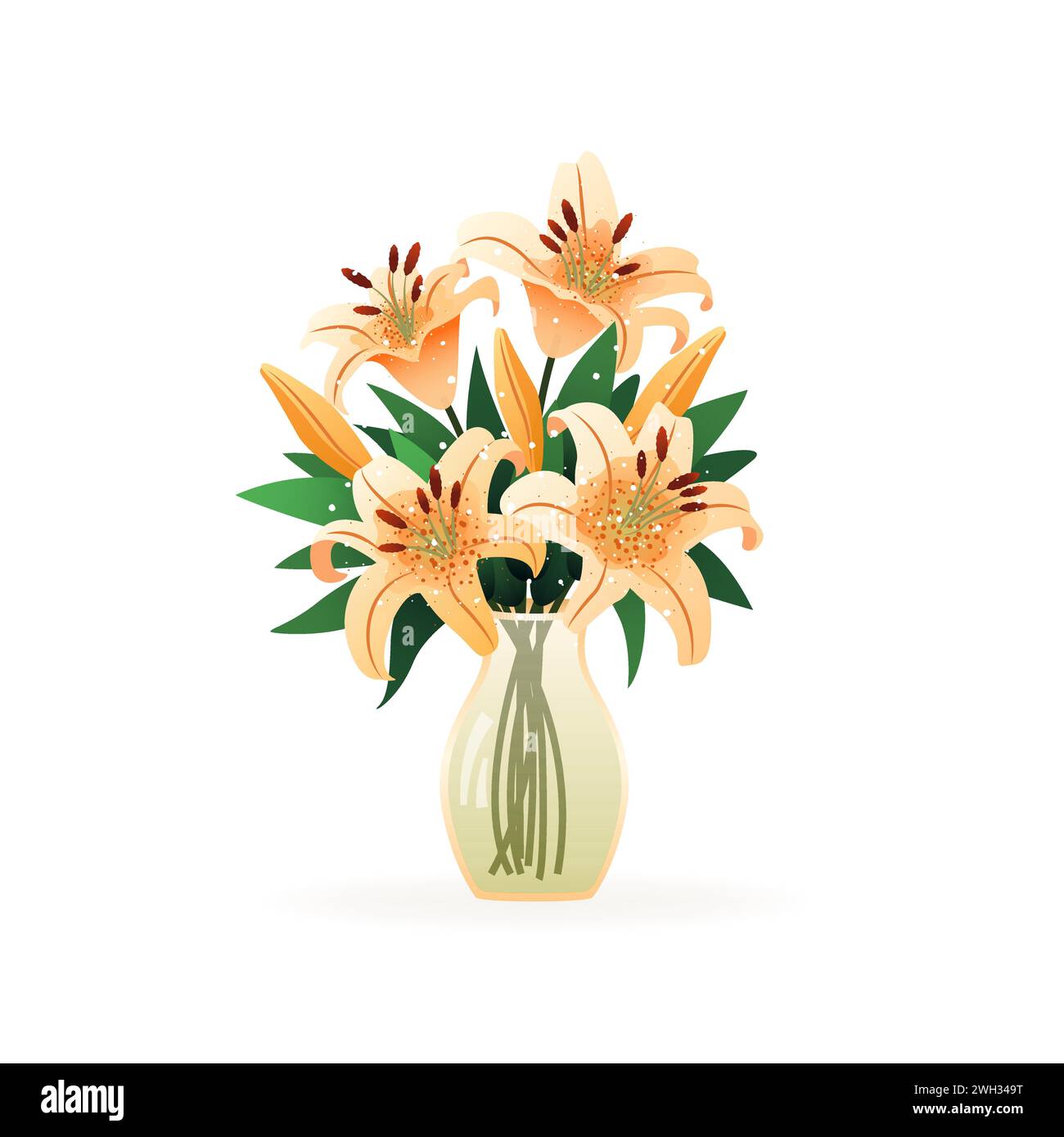 Lily vase Stock Vector Images - Alamy