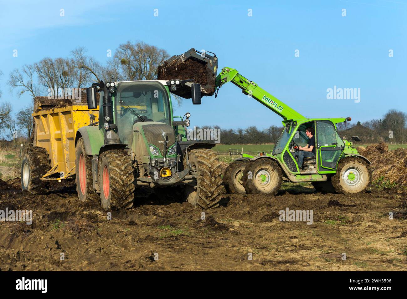 Collecting fertilizer in a tractor for manure spreading in the fields ...