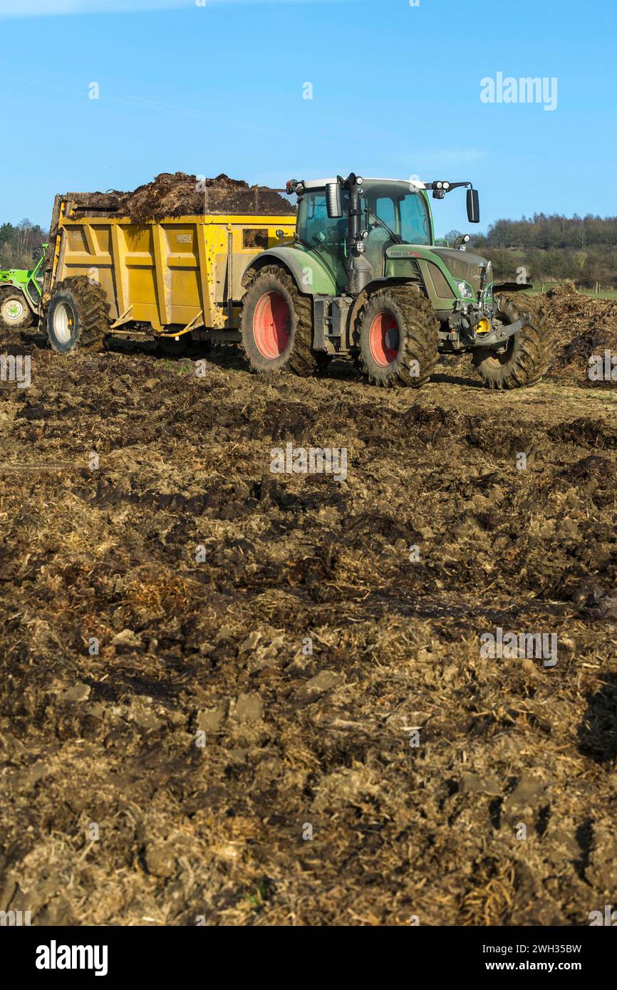 Collecting fertilizer in a tractor for manure spreading in the fields ...