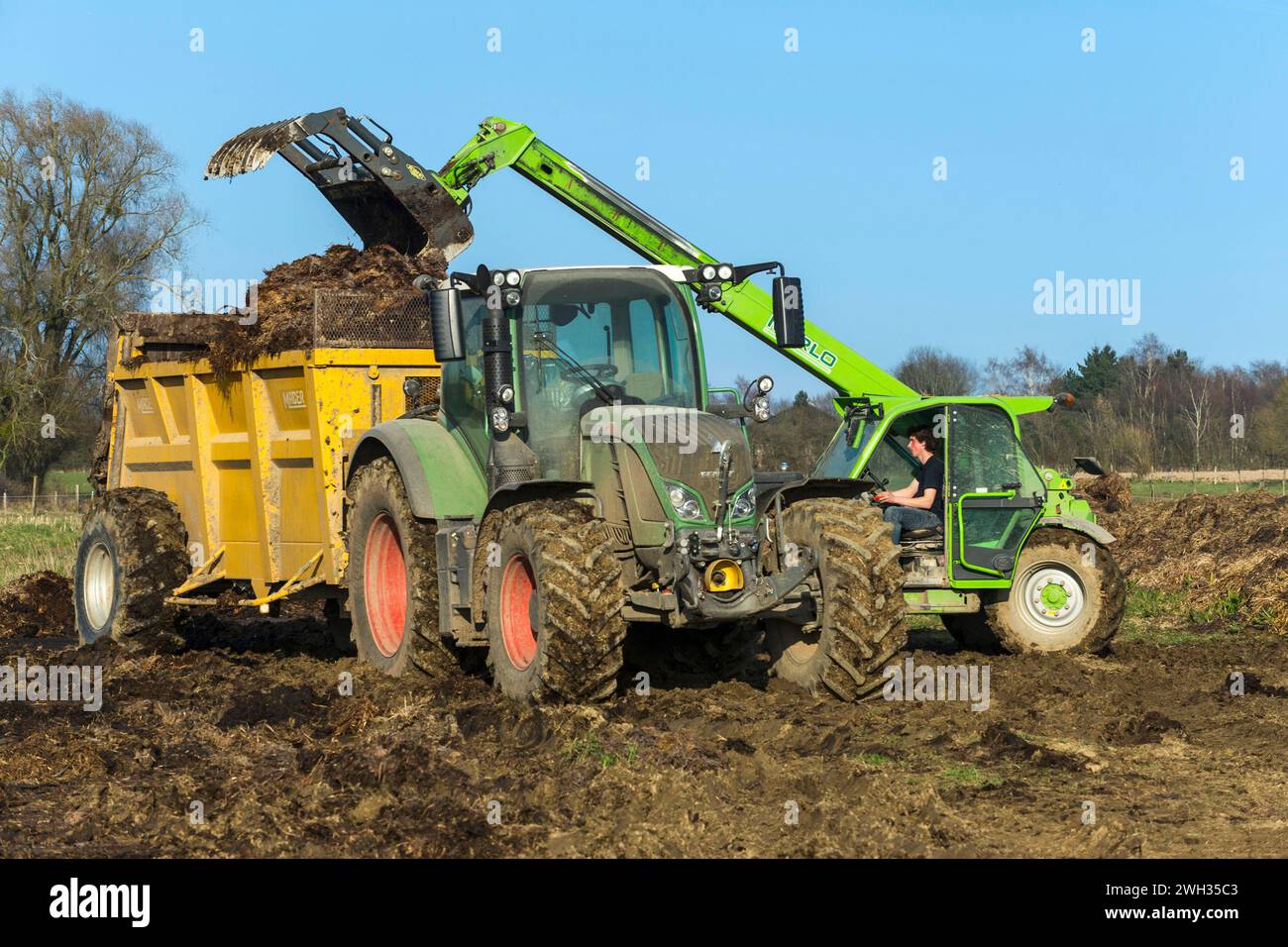Collecting fertilizer in a tractor for manure spreading in the fields ...