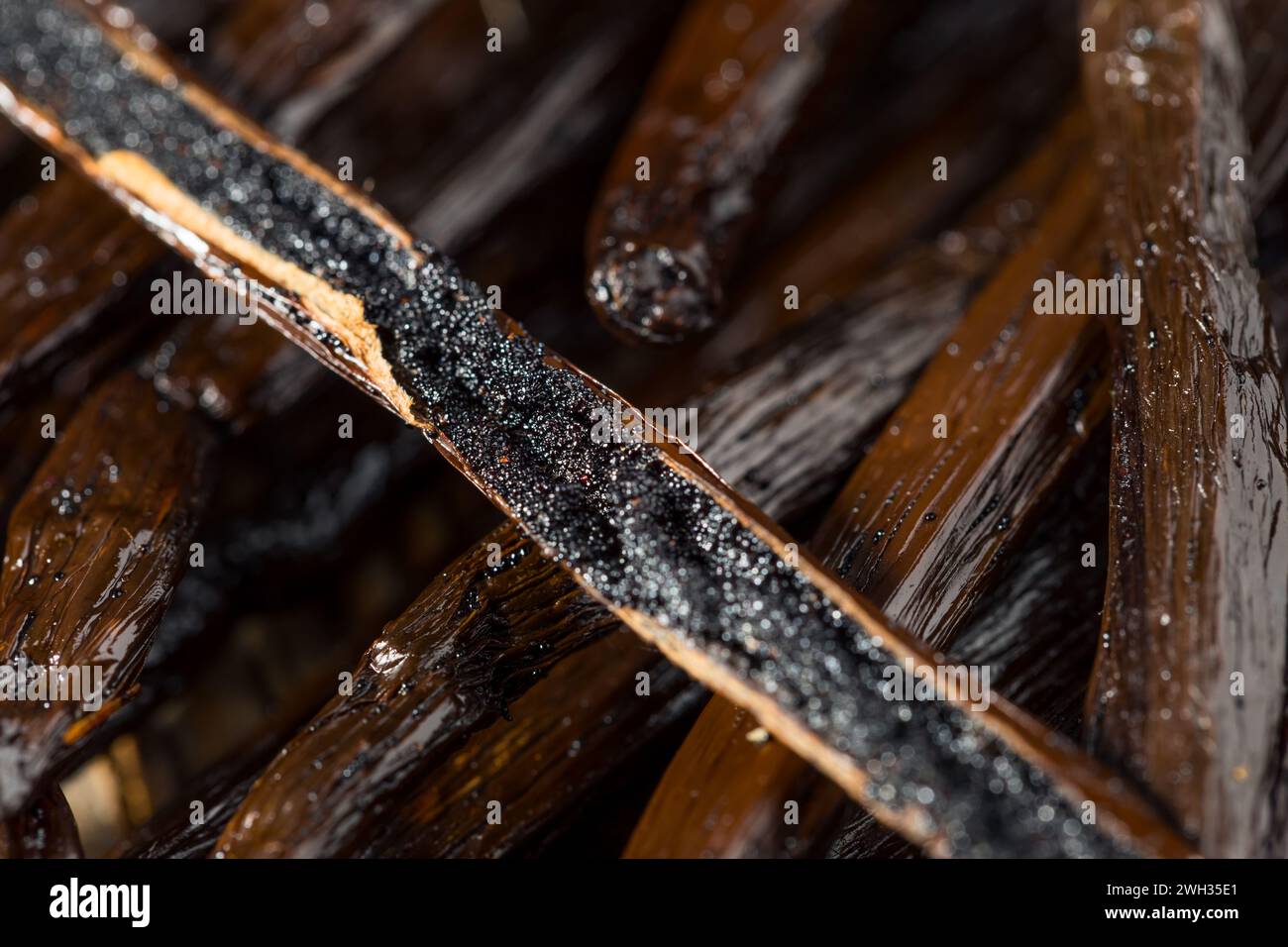Organic Raw Madagascar Vanilla Beans in a Bunch Stock Photo - Alamy
