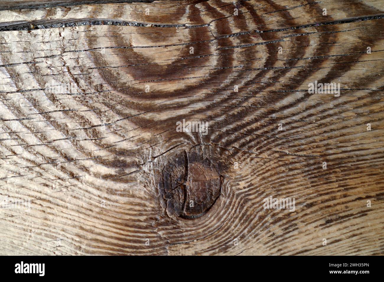 Rough wood knot hi-res stock photography and images - Alamy