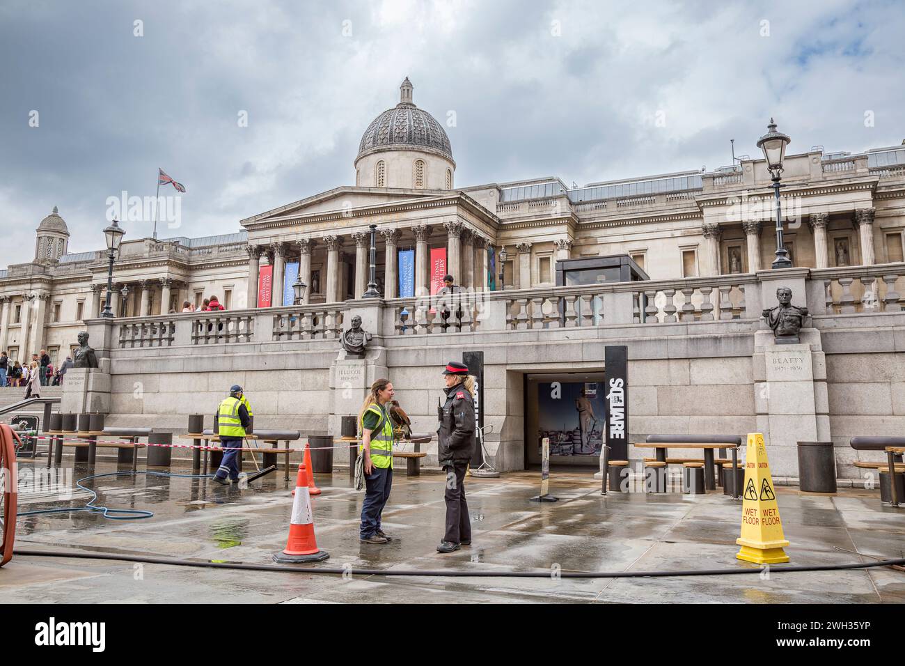 Hawk bird handler in Trafalgar Square, London clearing pigeons and ...