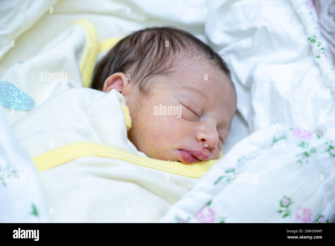 On her first day of life, a newborn baby girl wears a pink hospital ID ...