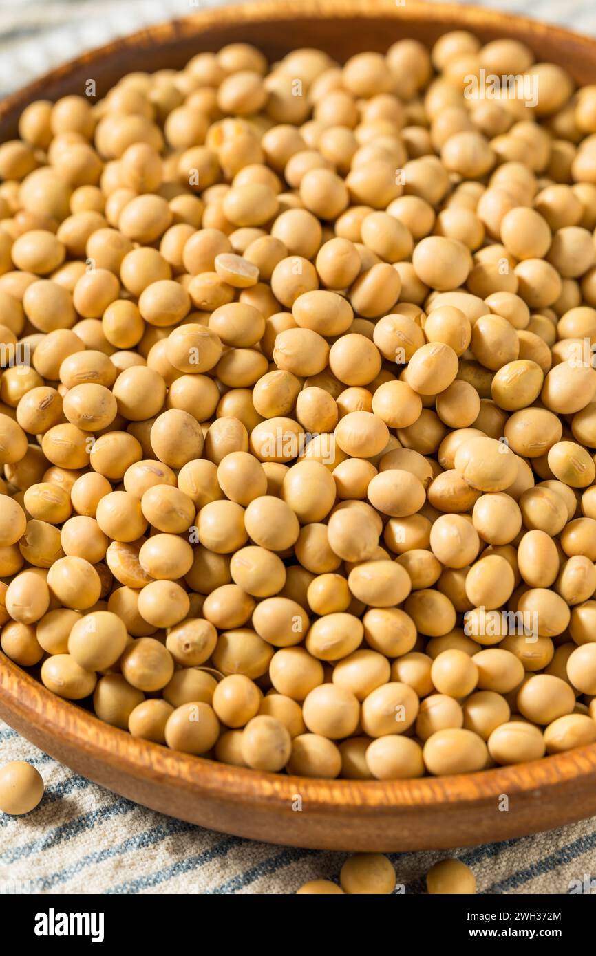 Dried soy bean hi-res stock photography and images - Alamy