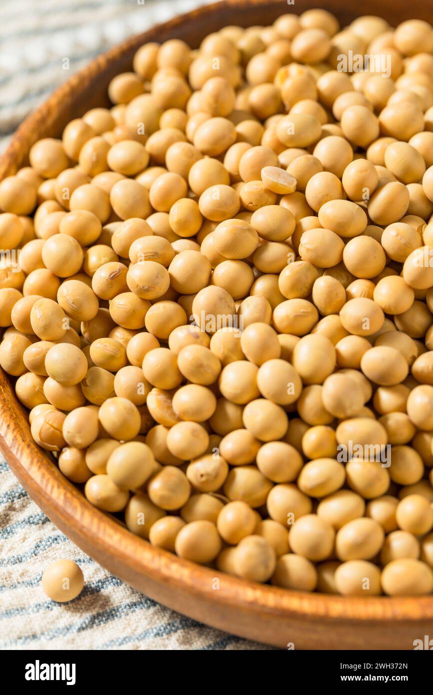 Dried Organic Soy Beans in a Wodden Bowl Stock Photo - Alamy