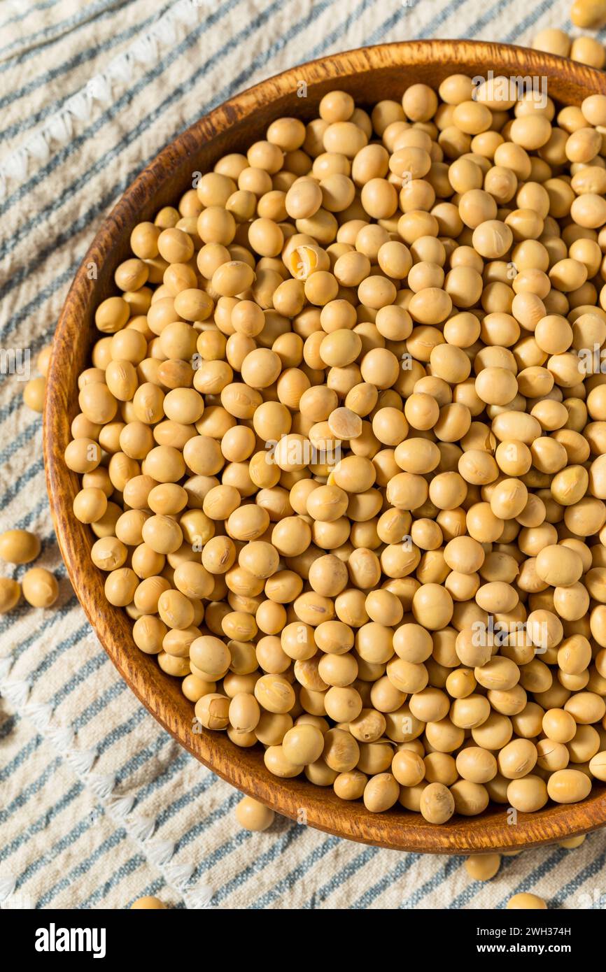 Dried Organic Soy Beans in a Wodden Bowl Stock Photo - Alamy