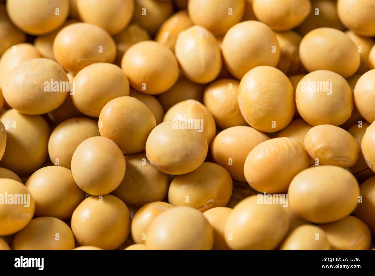 Dried Organic Soy Beans in a Wodden Bowl Stock Photo - Alamy