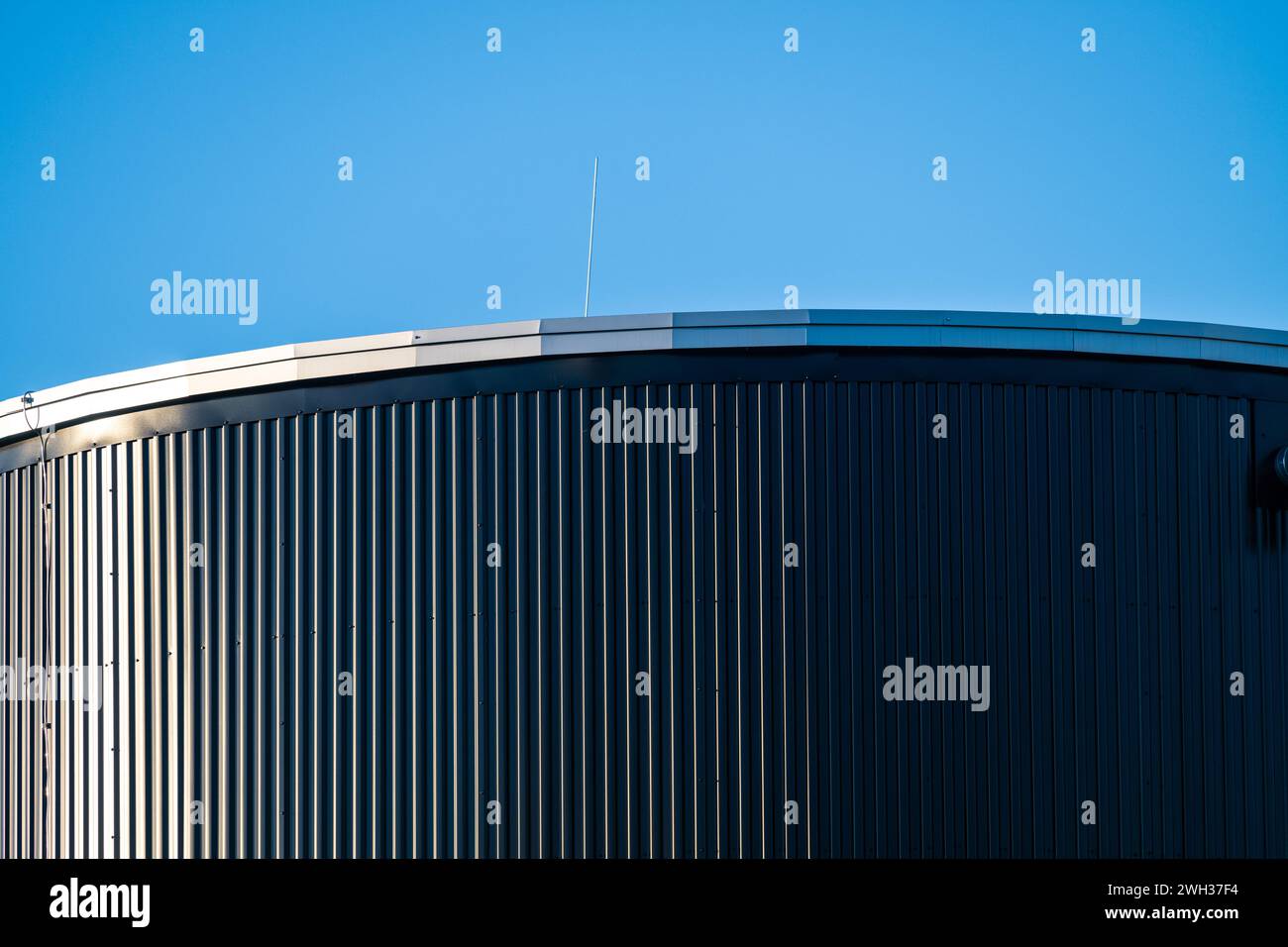 Grey gray tank top hi-res stock photography and images - Alamy