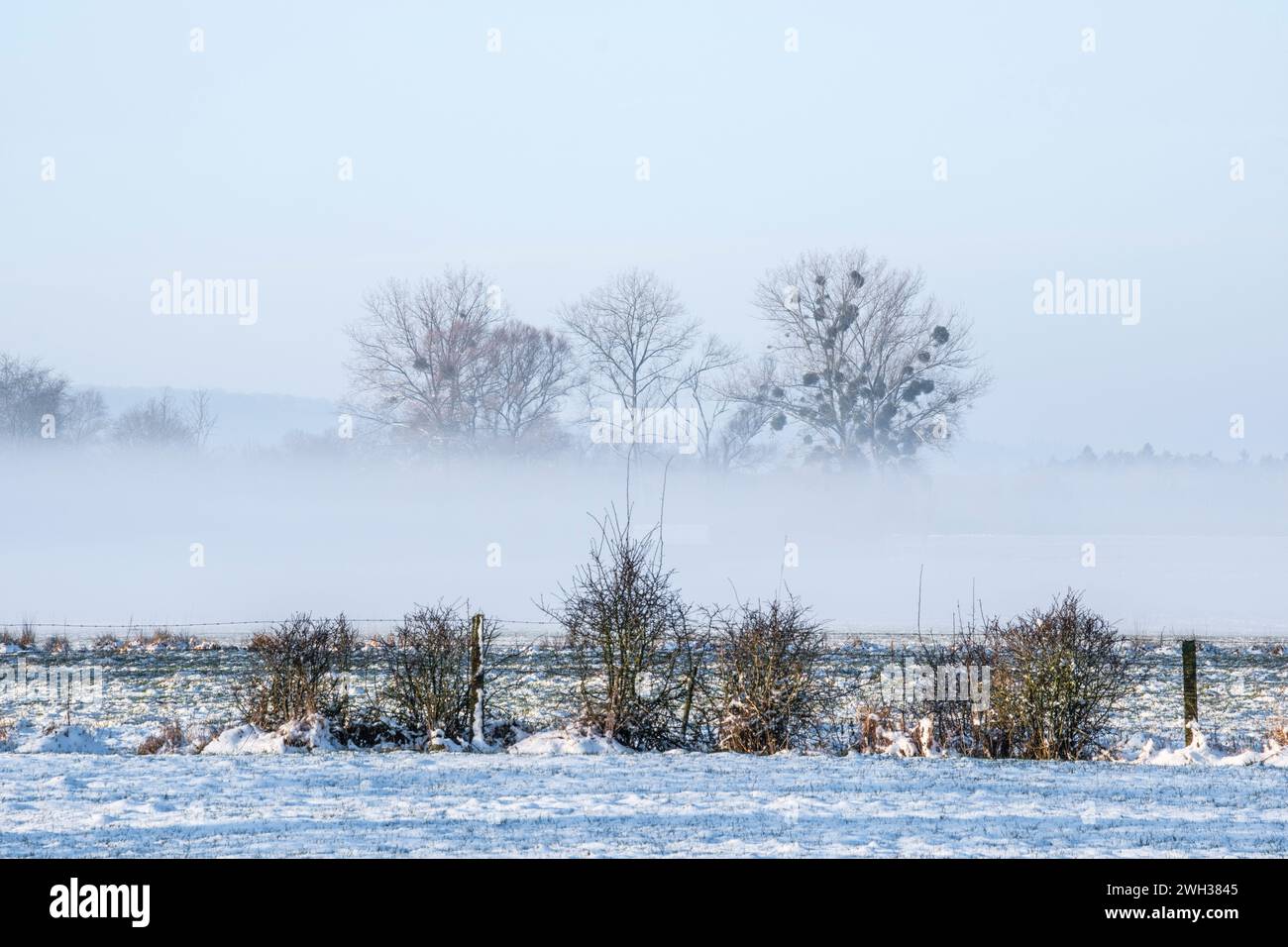 Cold and snow have fallen on the village and the landscapes - White ...
